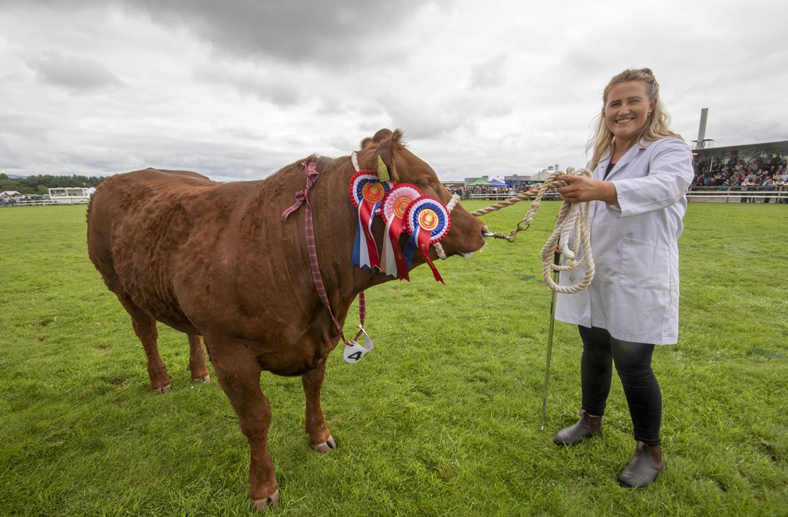 Black Isle Show – All the fun of the farm