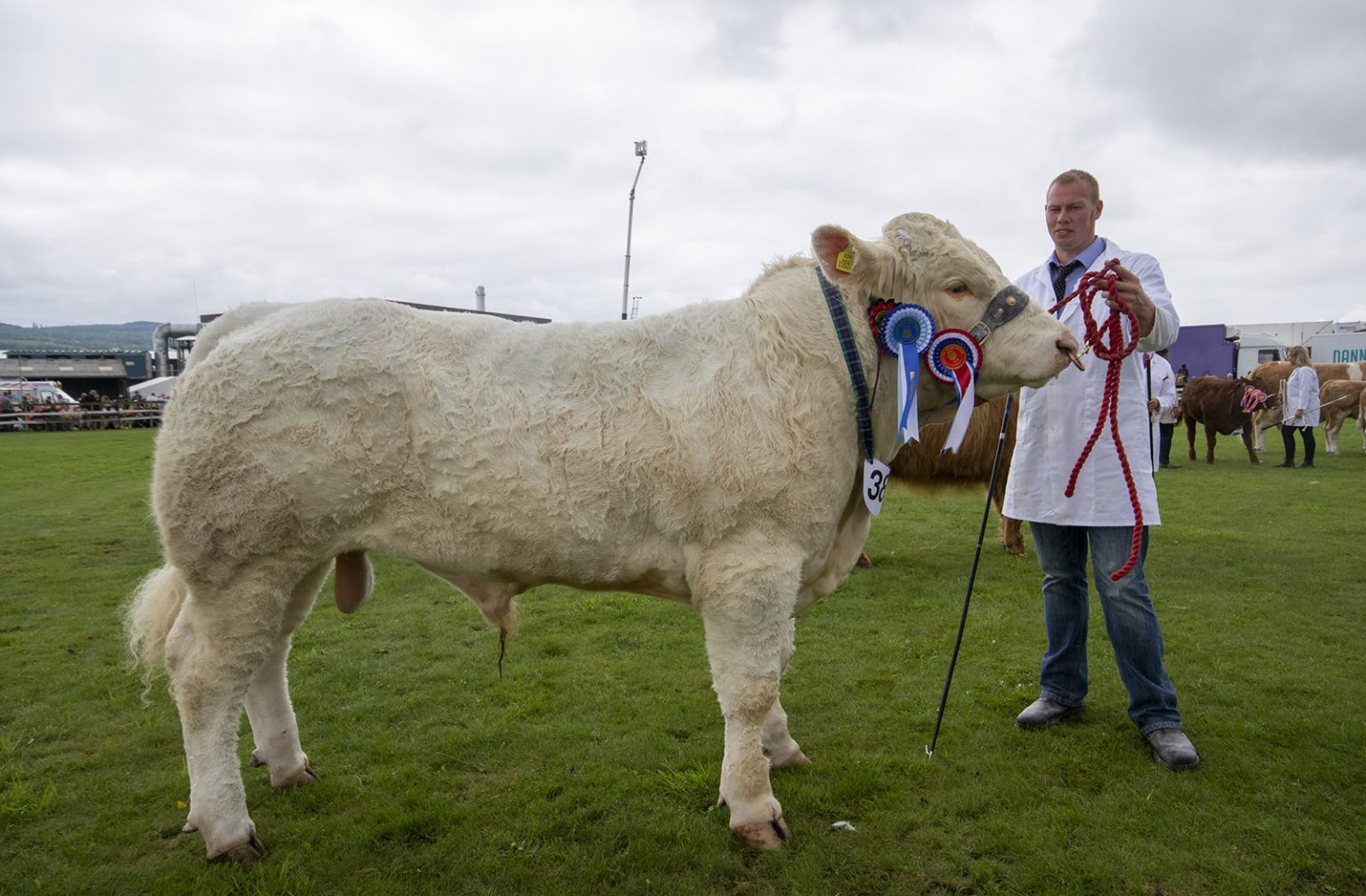 Black Isle Show – All the fun of the farm