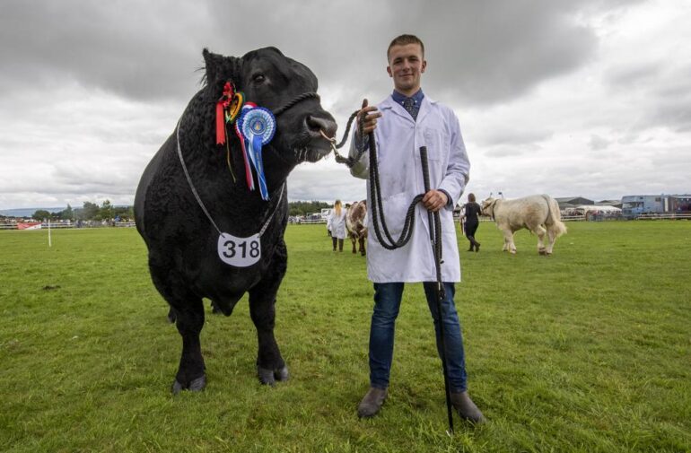 Black Isle Show – All the fun of the farm