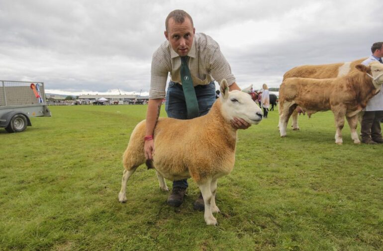 Black Isle Show – All the fun of the farm