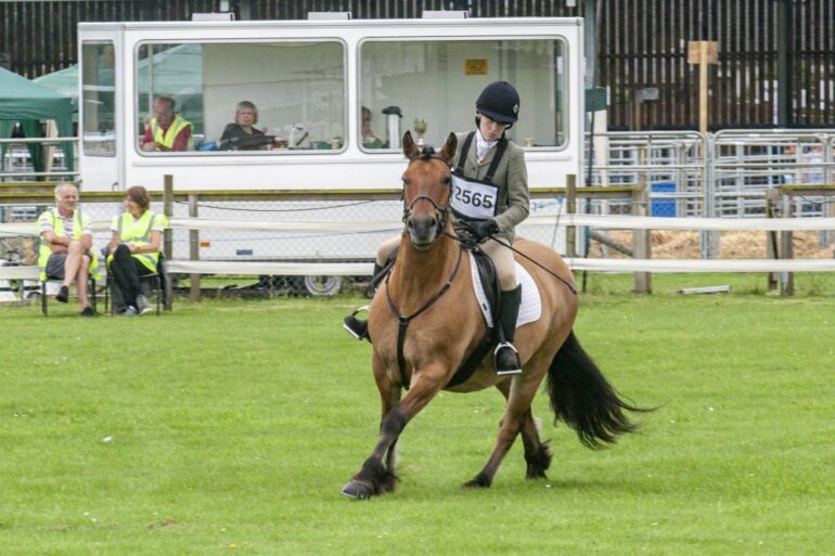 Black Isle Show 2019 – Black Isle Show