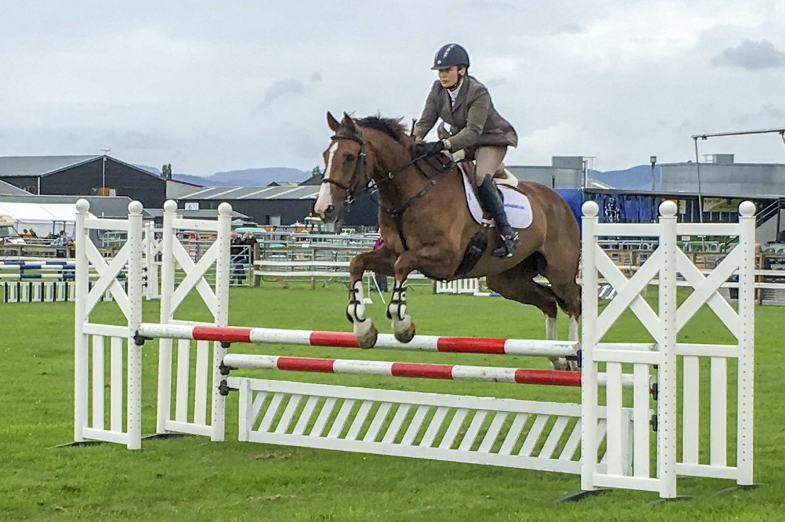 Black Isle Show – All the fun of the farm
