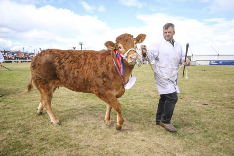 Black Isle Show – All the fun of the farm