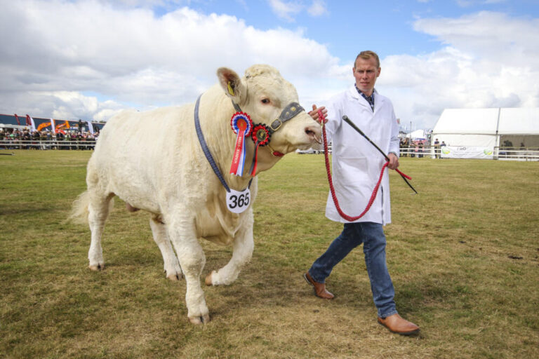 Black Isle Show – All the fun of the farm