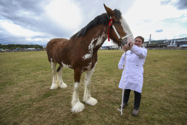 Black Isle Show – All the fun of the farm