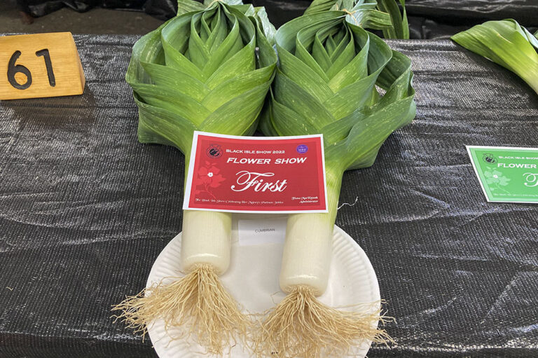 Black Isle Show – All the fun of the farm