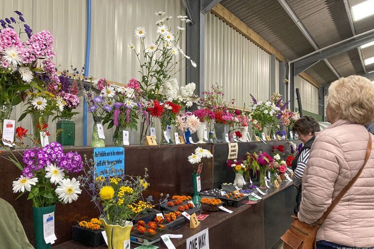 Black Isle Show – All the fun of the farm